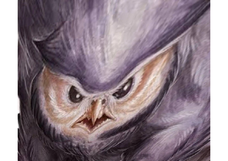 Image To PDF 20250517 22.57.25 | PDF