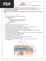 Respiratory System Mnemonics Fixed | PDF