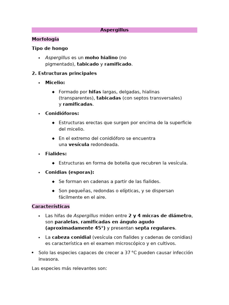 Aspergillus | PDF | Tos | Asma