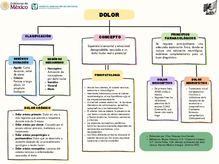 Mapa Conceptual Del Dolor. | PDF | Dolor | Norepinefrina