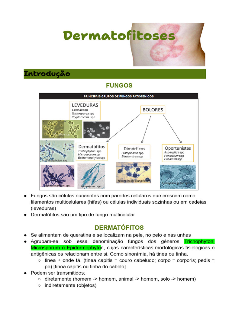 Dermatofitoses e Onicomicoses | PDF | Fungo | Biologia