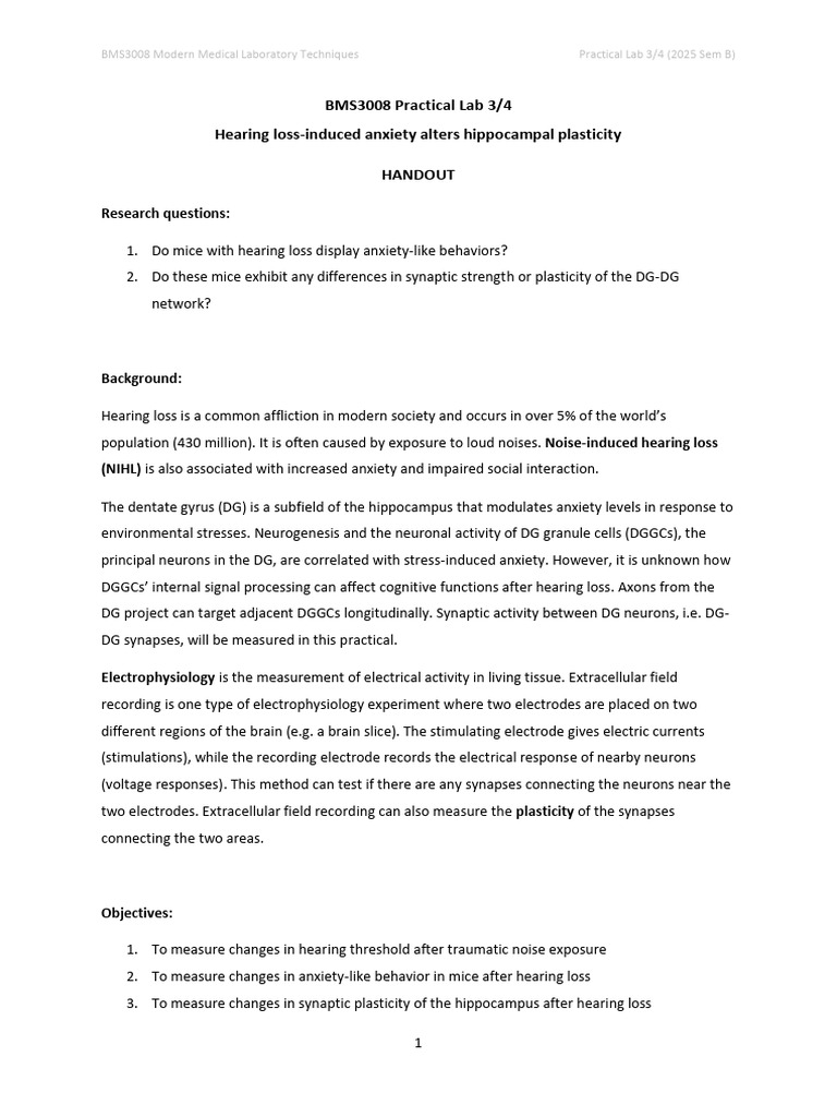 BMS3008 Practical Lab 3-4 Handout | PDF | Neuron | Synapse