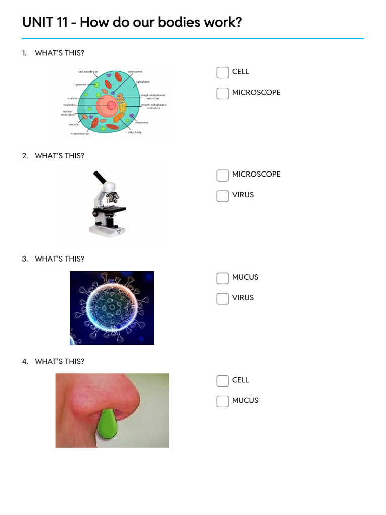Unit 11 How Do Our Bodies Work Quiz | PDF