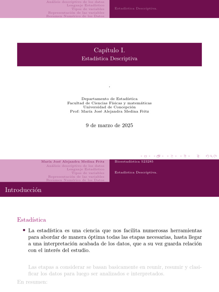 01 Clase I 523285 Estadística Descriptiva | PDF | Datos | Variable (informática)