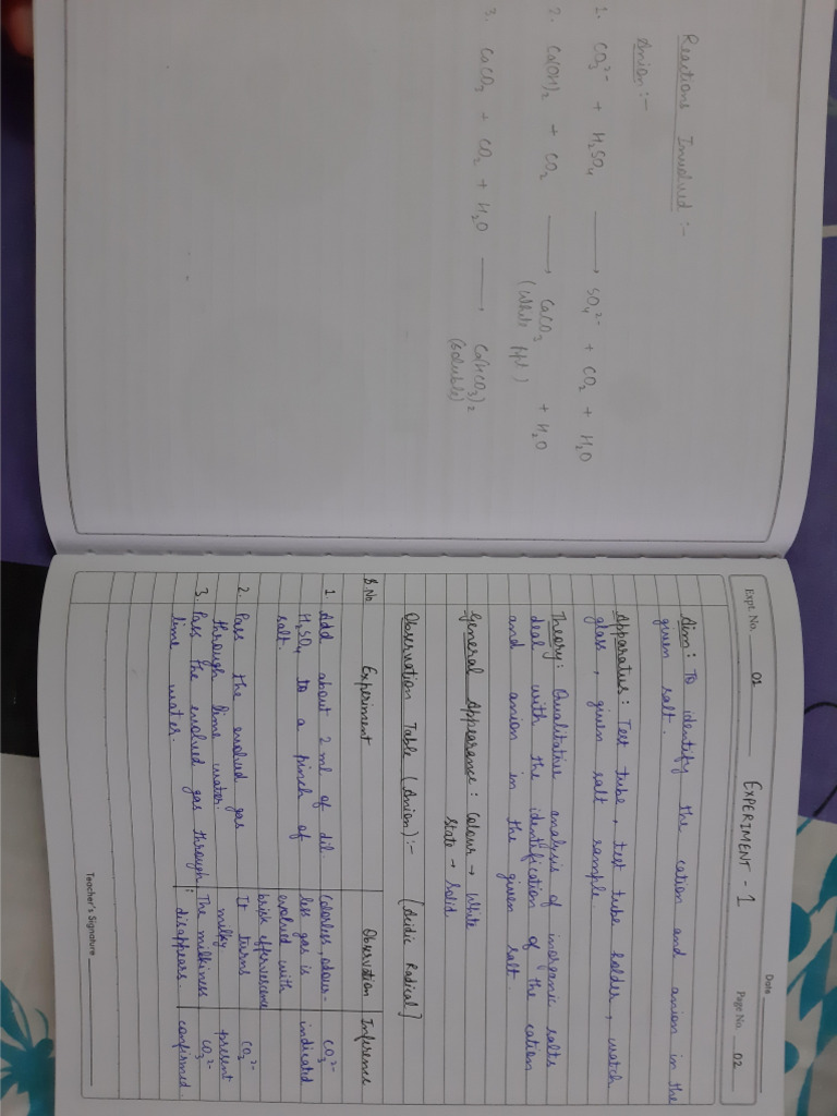 Vaibhav 12b Salt Analysis | PDF