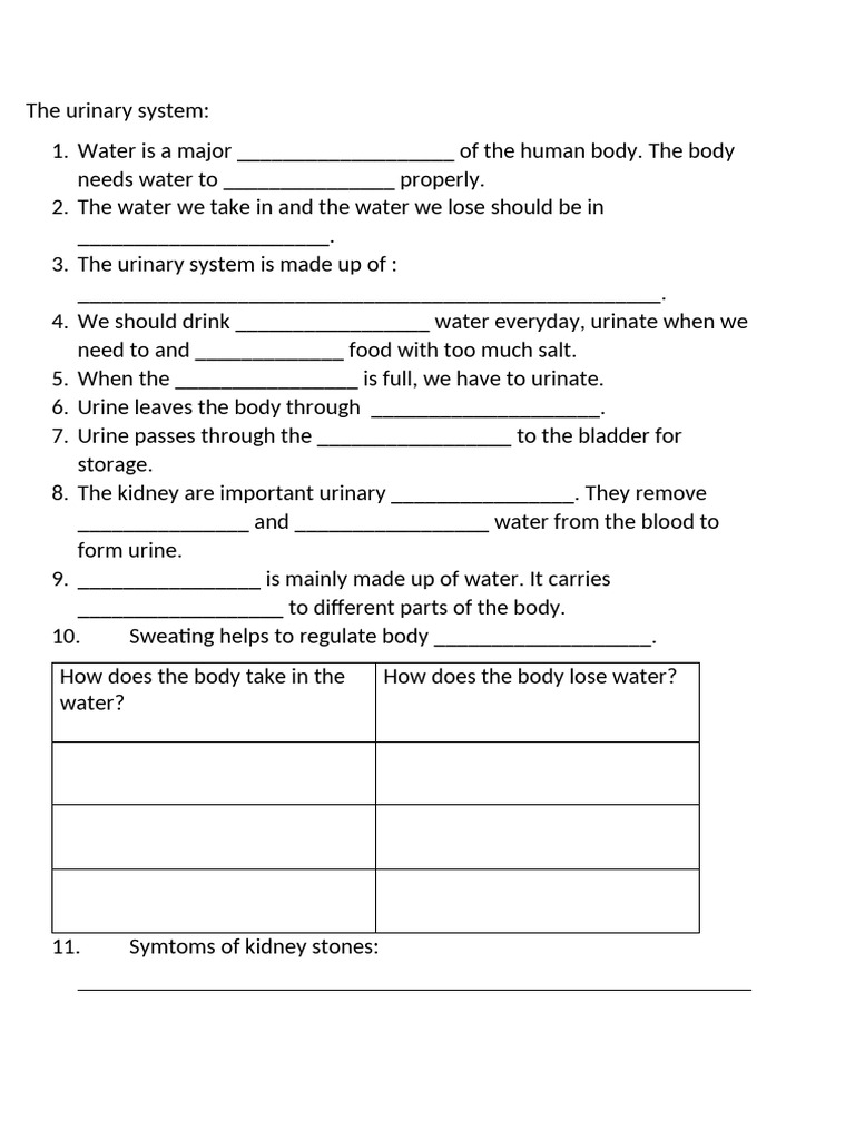 Understanding the Urinary System and Ecosystems | PDF | Urinary System ...