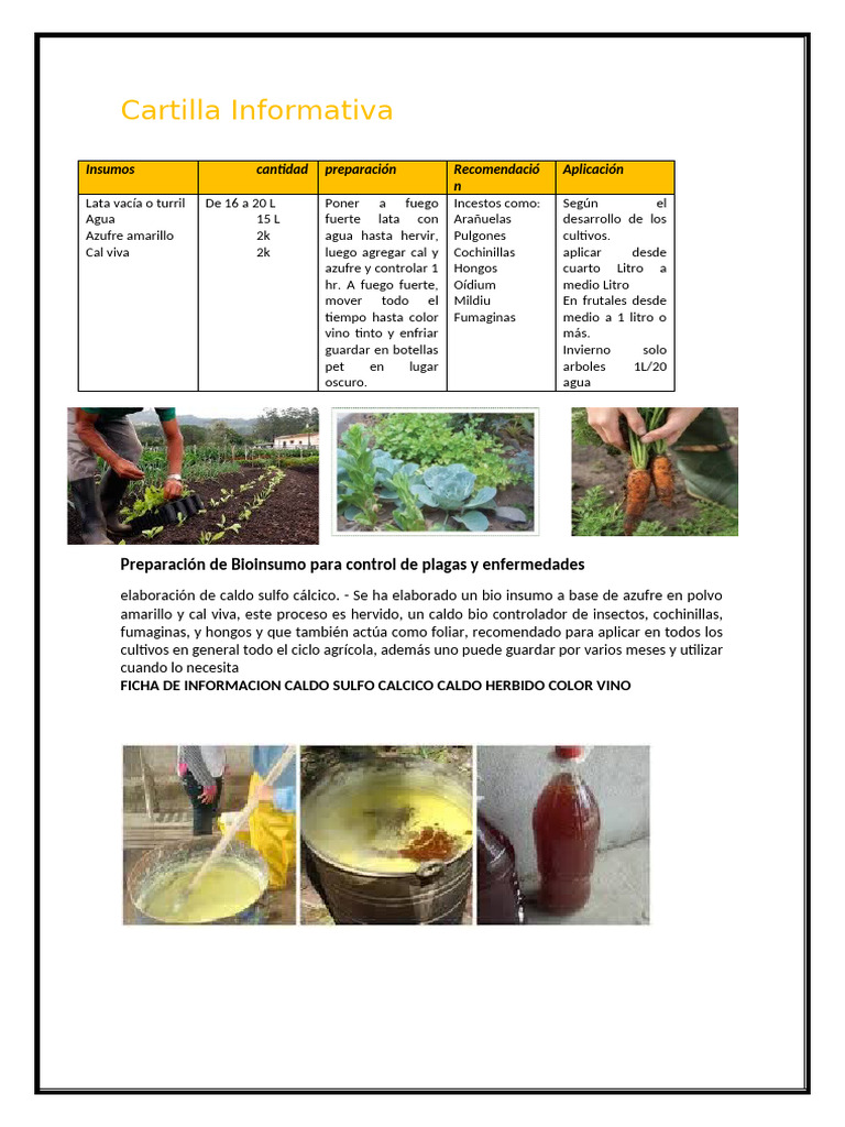 Cartilla - Informativa Sulfocalcio | PDF