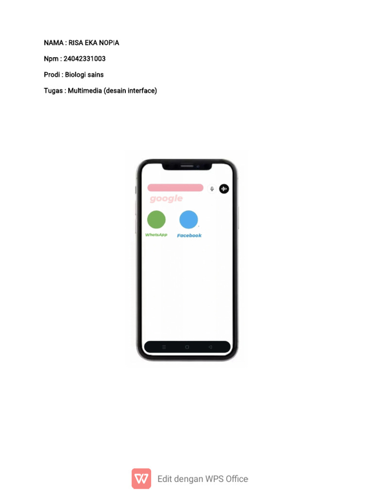 Interface risa-WPS Office | PDF