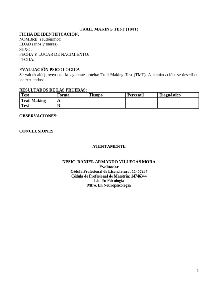 Reporte de TMT | PDF