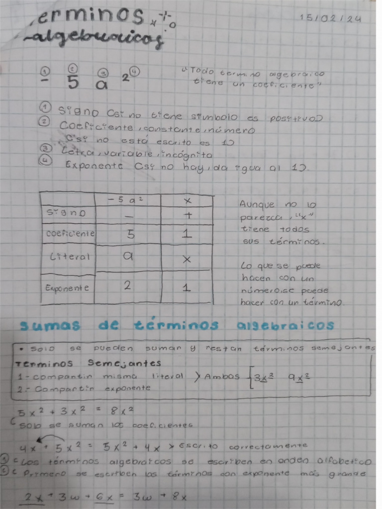 Introducción A Términos Algebraicos | PDF
