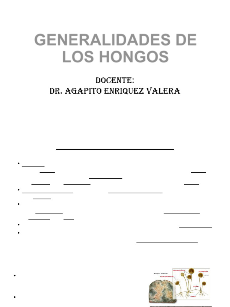 Clase #01 Generalidades de Los Hongos | PDF | Hongo | Espora