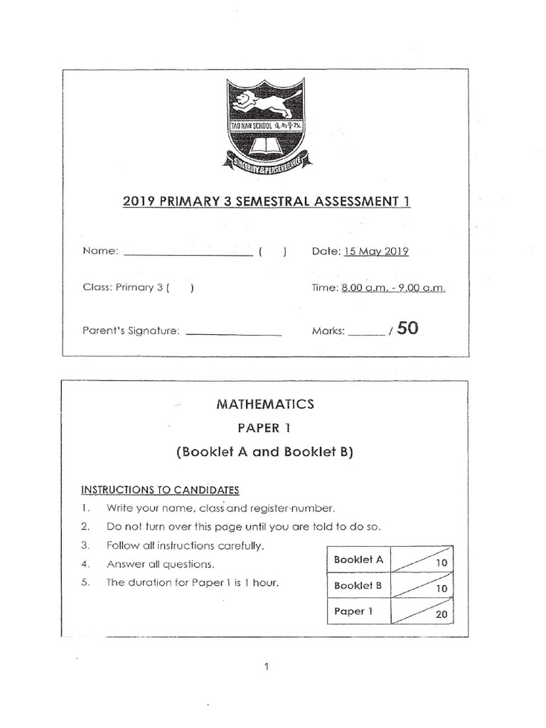 P3 Maths SA1 2019 Tao Nan Exam Papers | PDF
