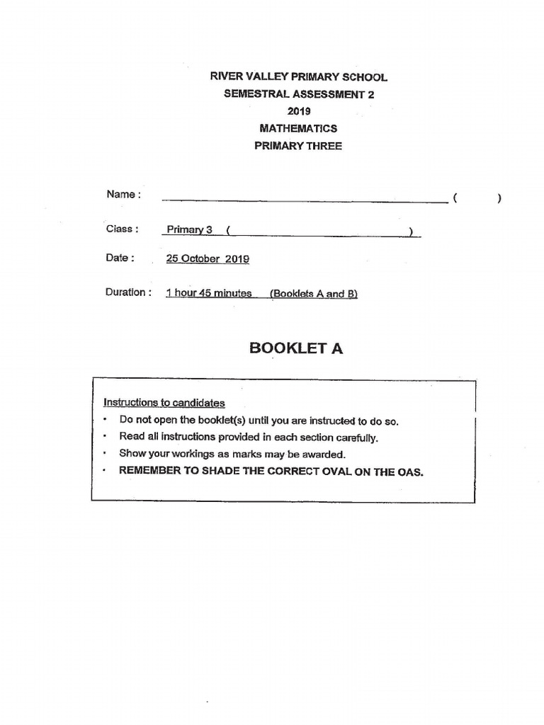 P3 Maths SA2 2019 River Valley Exam Papers | PDF