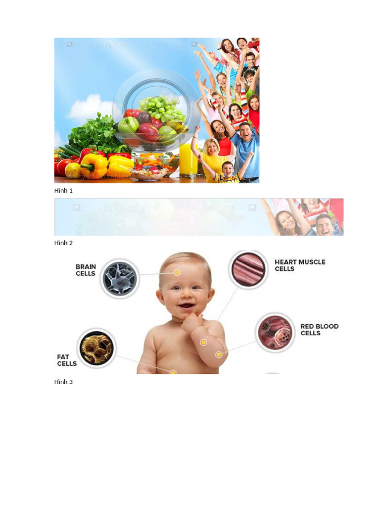 Dữ liệu Hình Ảnh Powperpoint đề ôn tập chứng chỉ tin học cơ bản- Đề 4- IUH | PDF