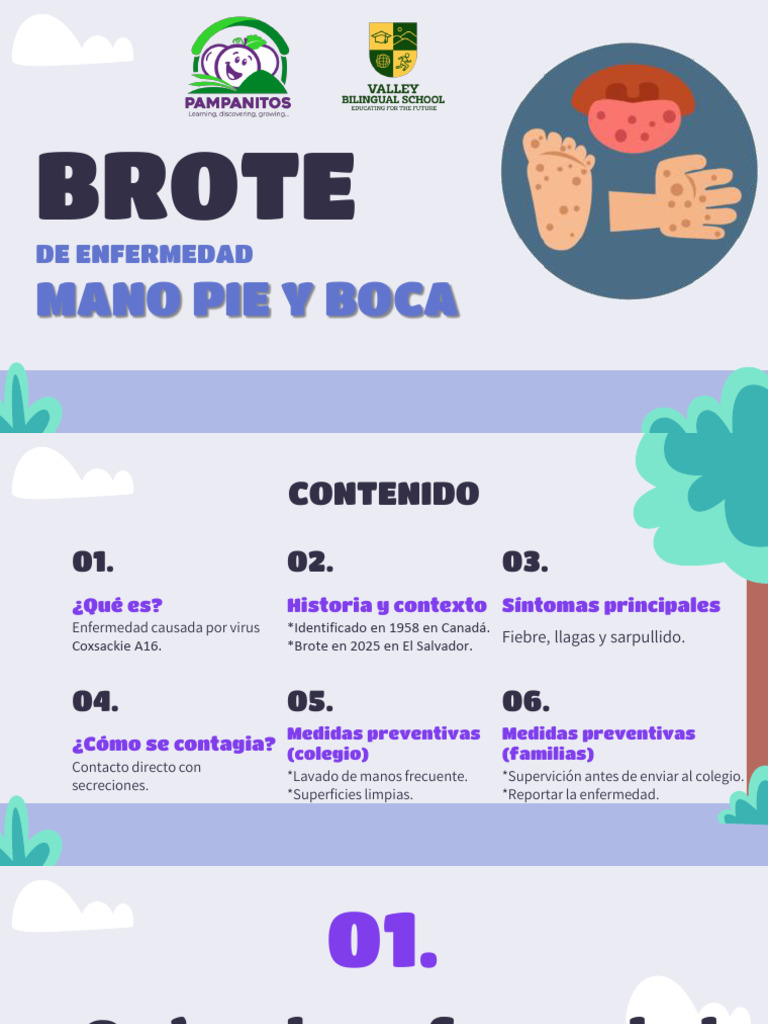 Manos Pies y Boca | PDF | Salud pública | Medicina