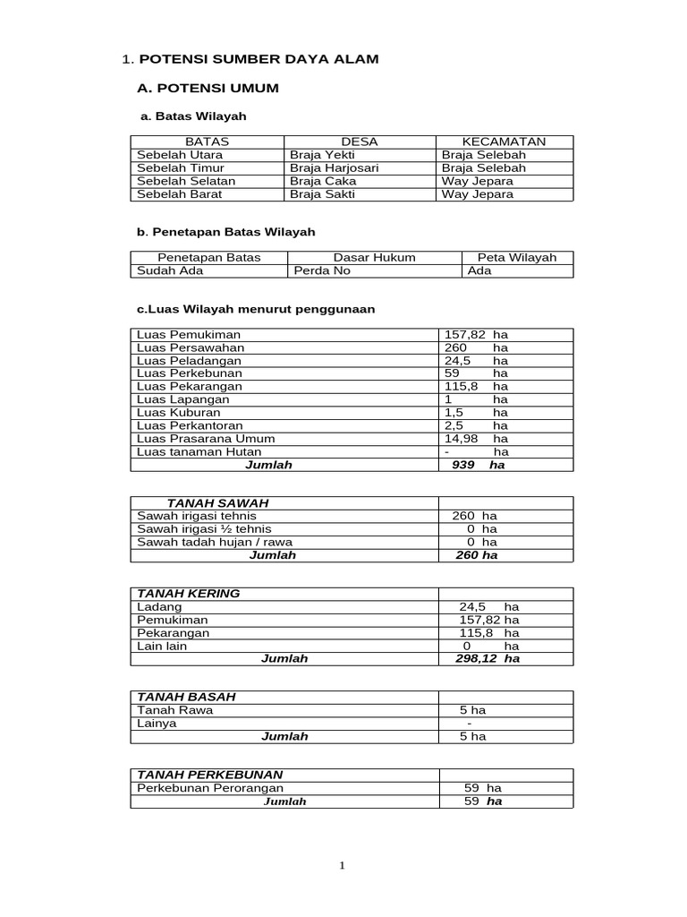 Monografi Desa | PDF