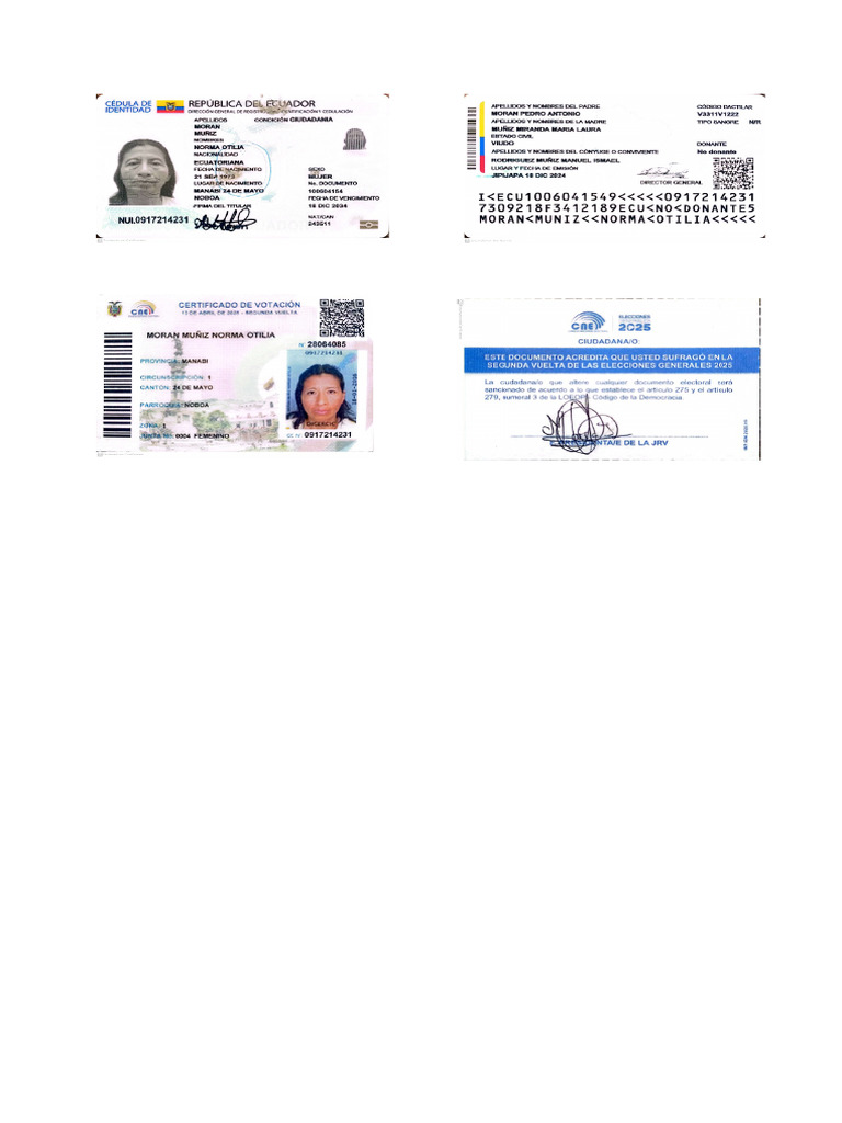 Papel de Votación y Cédula Normi (1) | PDF
