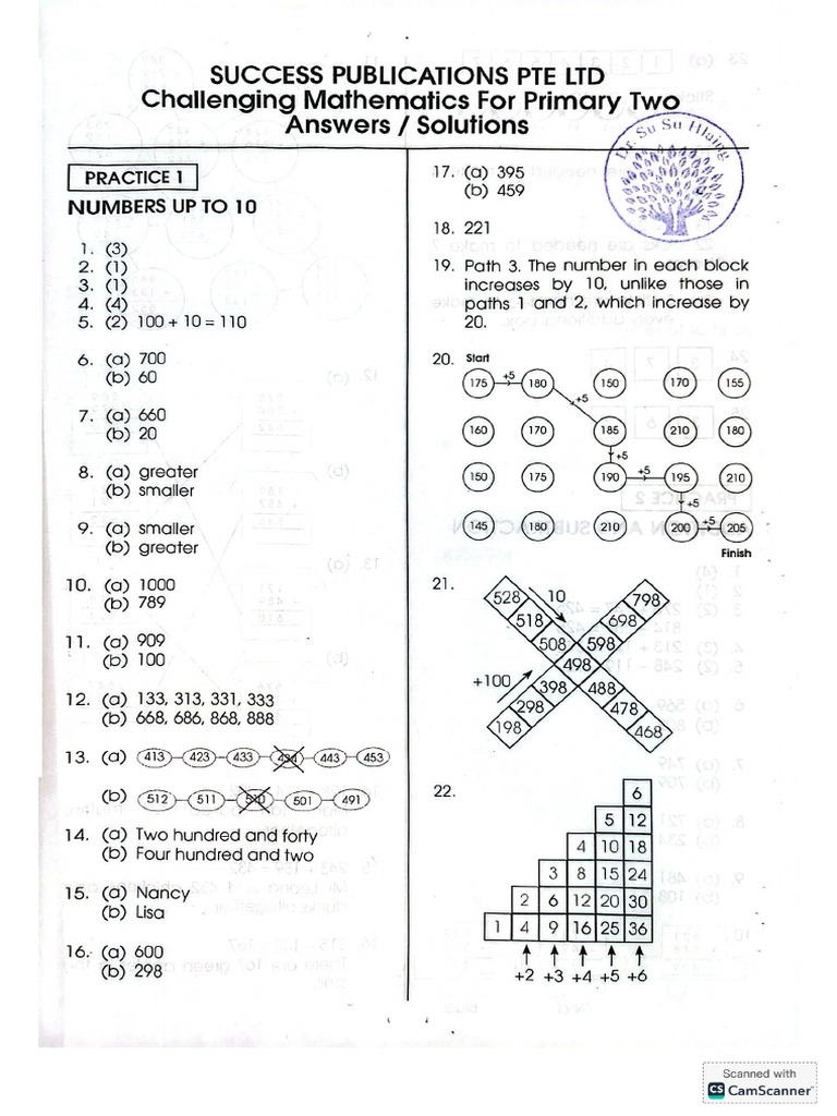 Challenging Mathematics 2 (Answers) | PDF