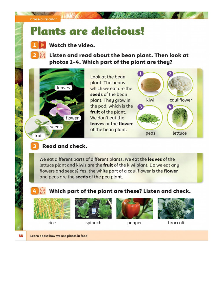 Power Up2 Pupil's Book( | PDF