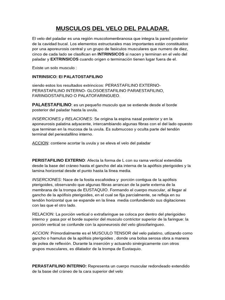 Musculos Del Velo Del Paladar | PDF | Tejido suave | Sistema ...