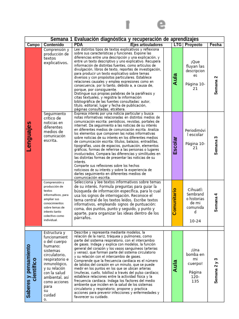 5° Disificacion Anual Ciclo 2024-2025 | PDF | Corazón | Biodiversidad