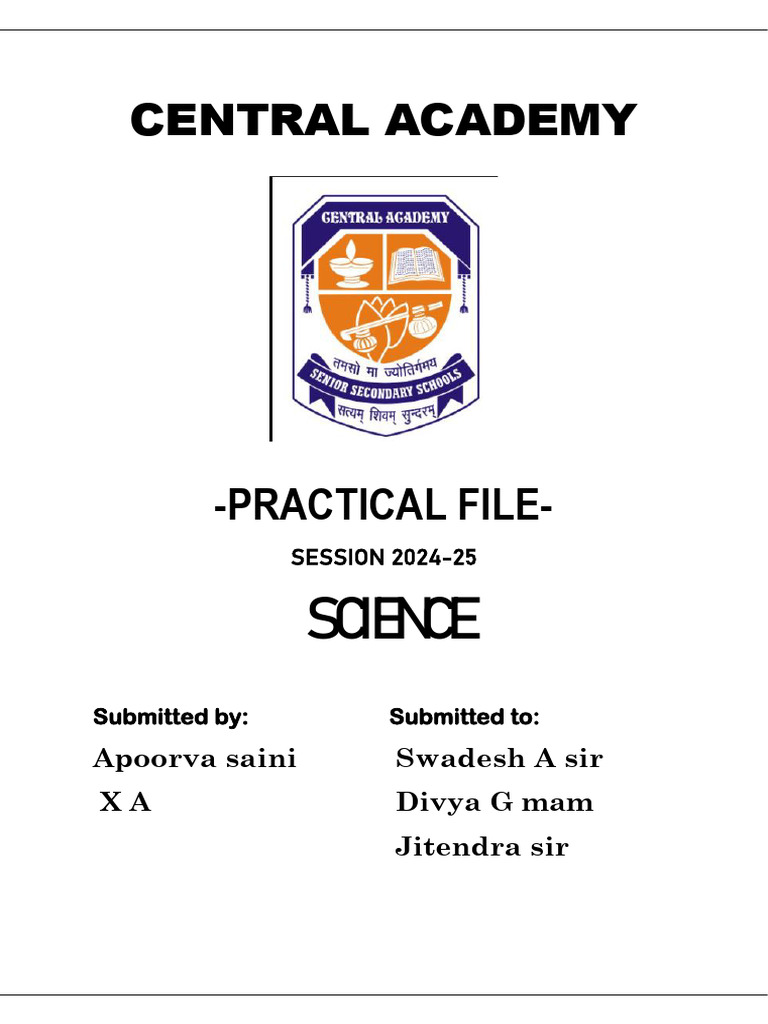 Central Academy: - Practical File | PDF