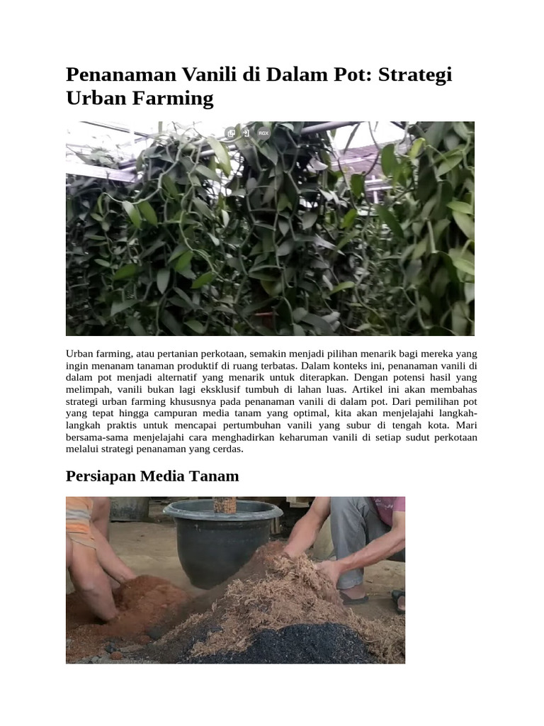 Penanaman Vanili Di Dalam Pot Strategi Urban Farming | PDF