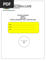 Natural Science Grade 7 Practical Task | PDF