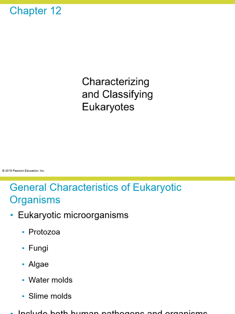 Eukaryotic Organisms: Characteristics & Classification | PDF | Fungus ...