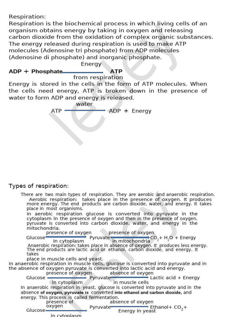 Understanding Respiration Processes | PDF | Cellular Respiration ...