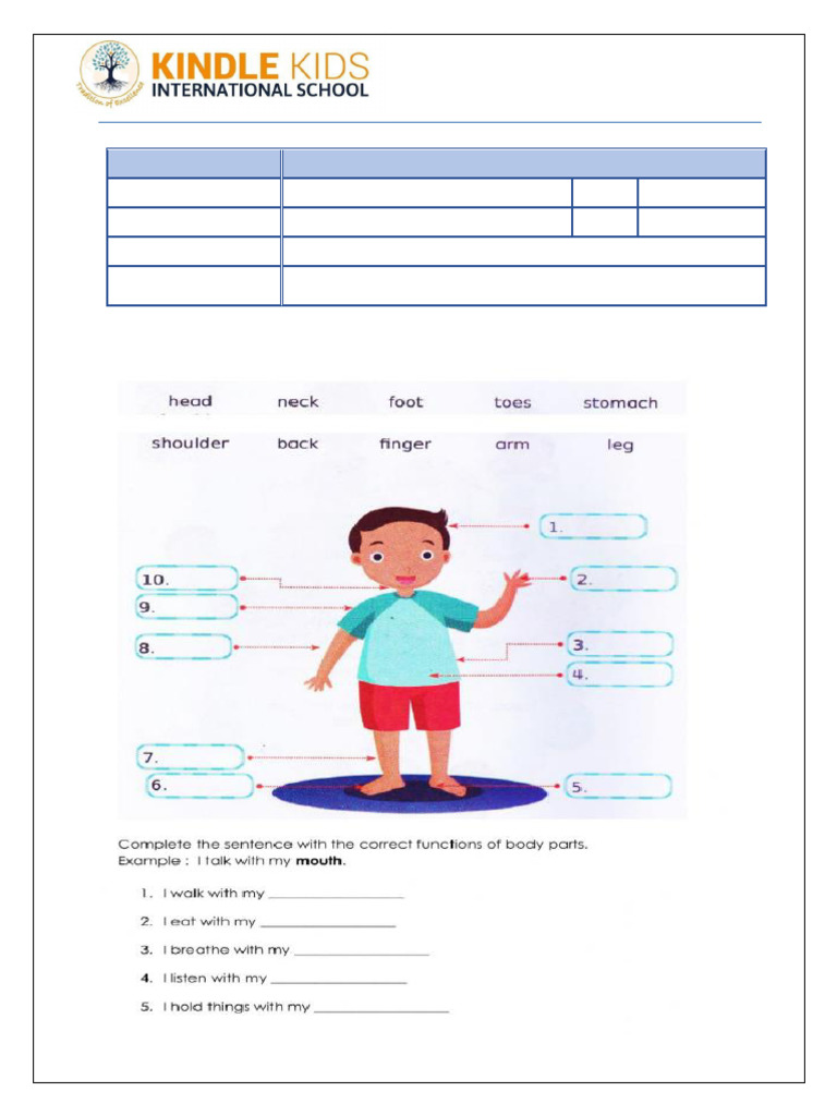Body Parts and Five Senses | PDF