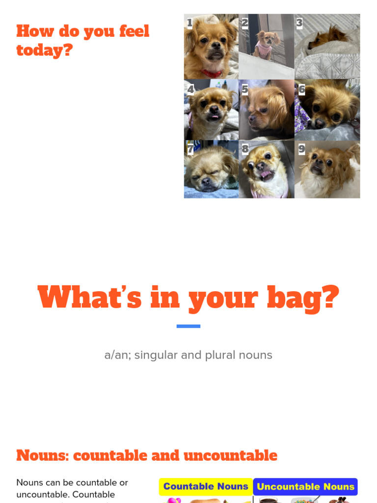 Lesson 3A - What's in Your Bag | PDF