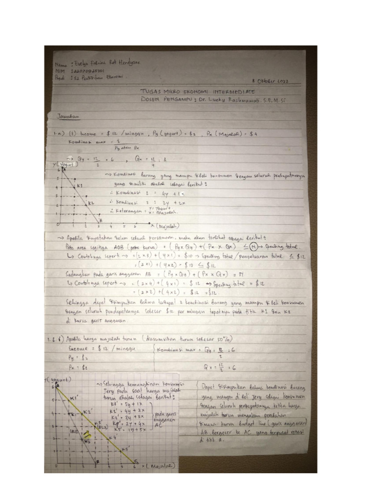Tugas 2 - Mikro Ekonomi - Evelyn Febrina - 22070925001 | PDF
