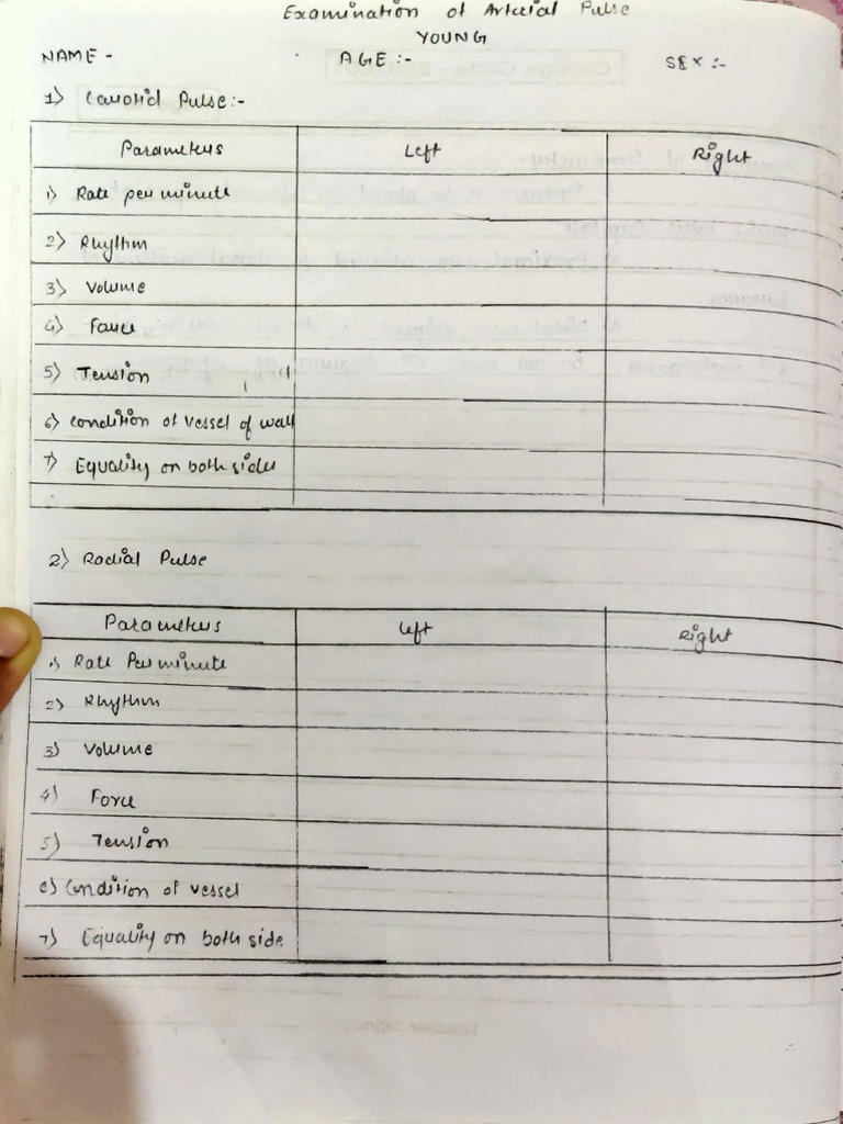 arterial pulse | PDF