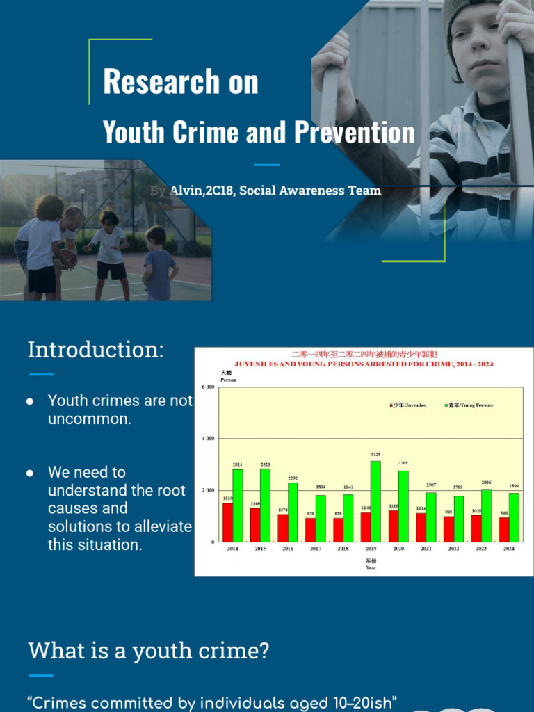 Youth Crime Causes and Prevention Strategies | PDF