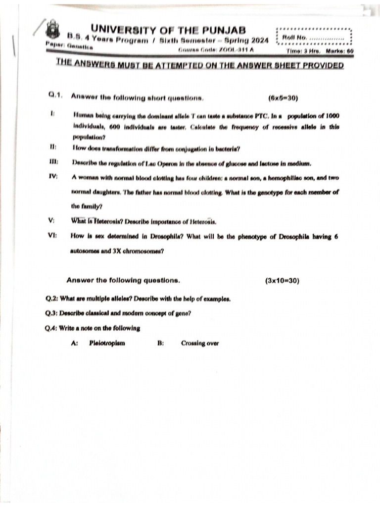 Genetics 6th Semester Past Papers | PDF