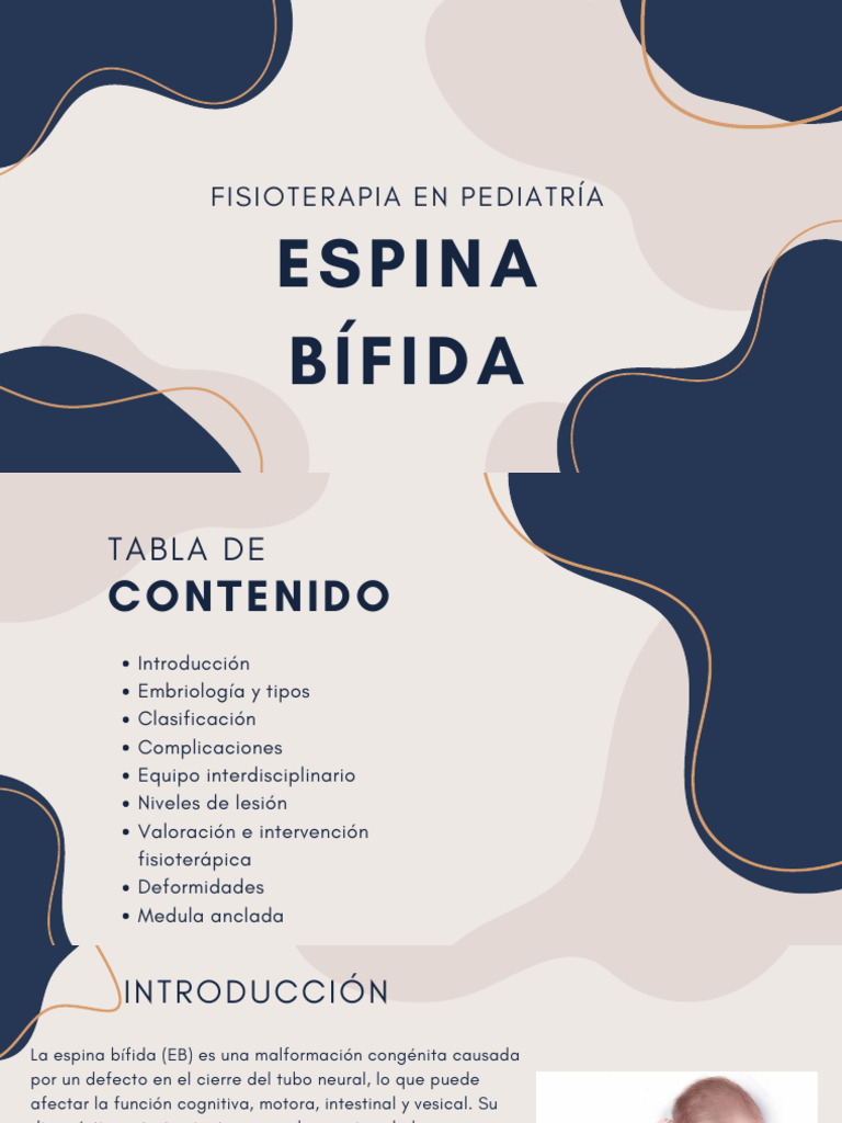 Espina Bifida | PDF | Especialidades Medicas | Enfermedades y trastornos humanos