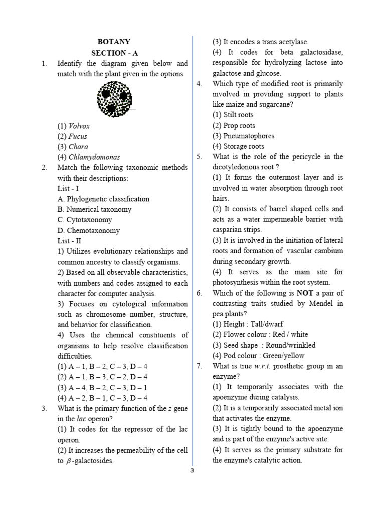 Botany Taxonomy and Genetics Quiz | PDF | Meiosis | Genetic Code