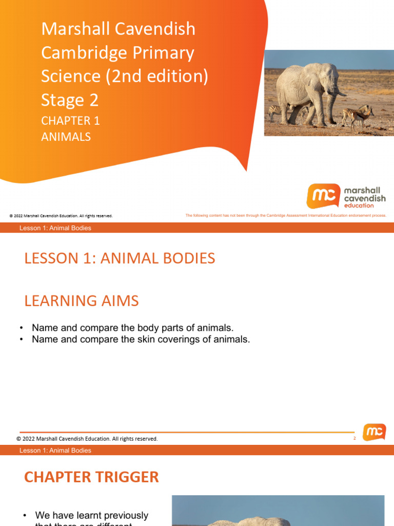 Animal Bodies and Young Overview | PDF | Zoology