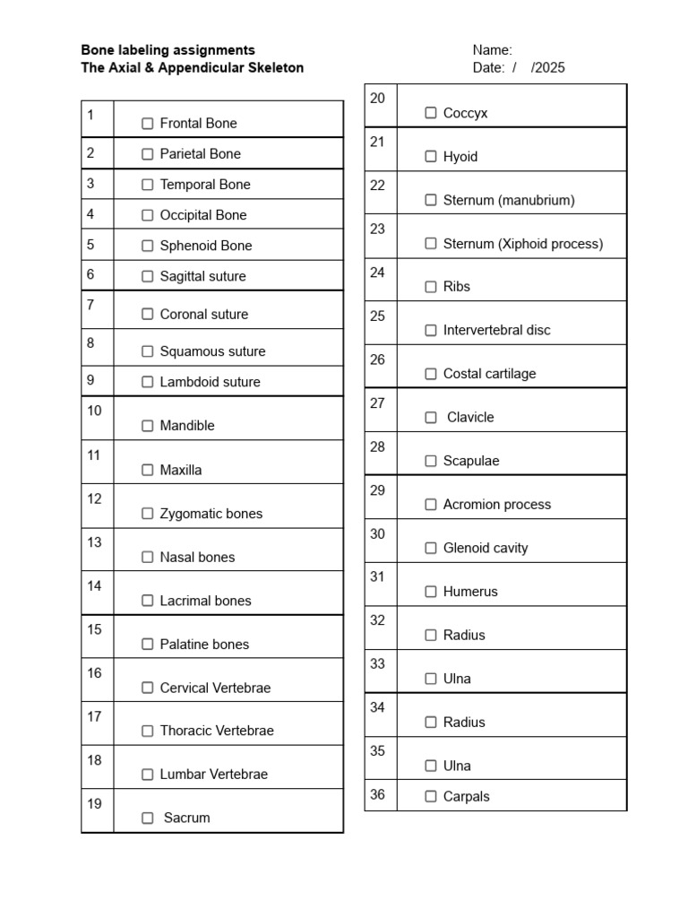 The Bone Labeling Axial & Appendicular Skeleton | PDF | Musculoskeletal ...