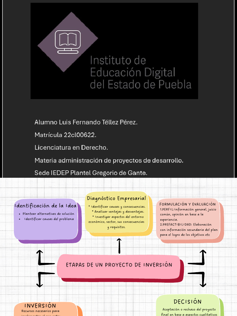 Etapas de Un Proyecto de Inversión - 20250324 - 043154 - 0000 | PDF ...