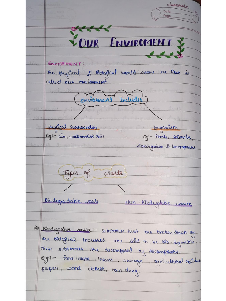 Our Environment Notes | PDF