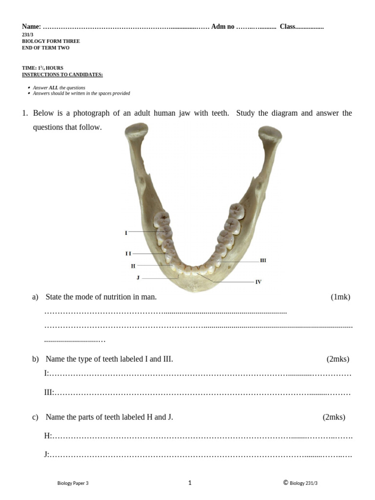 BIOLOGY PP3 Teacher - Co - .Ke End Term 2 | PDF | Tooth