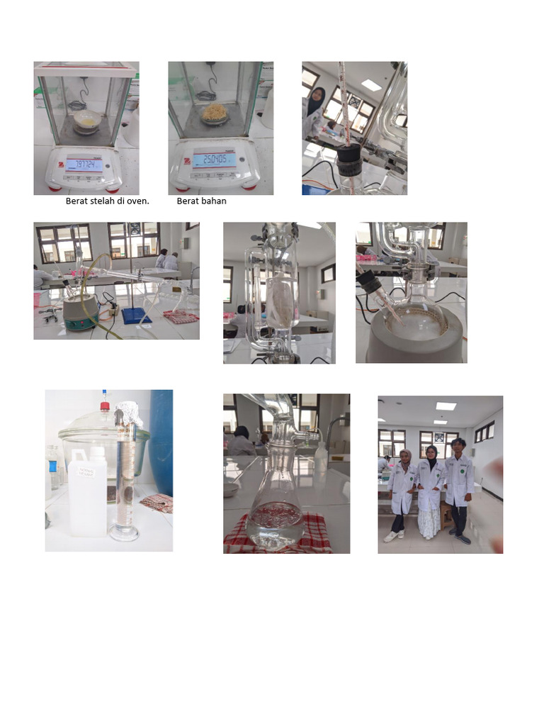 Pict Minyak Kmiri | PDF