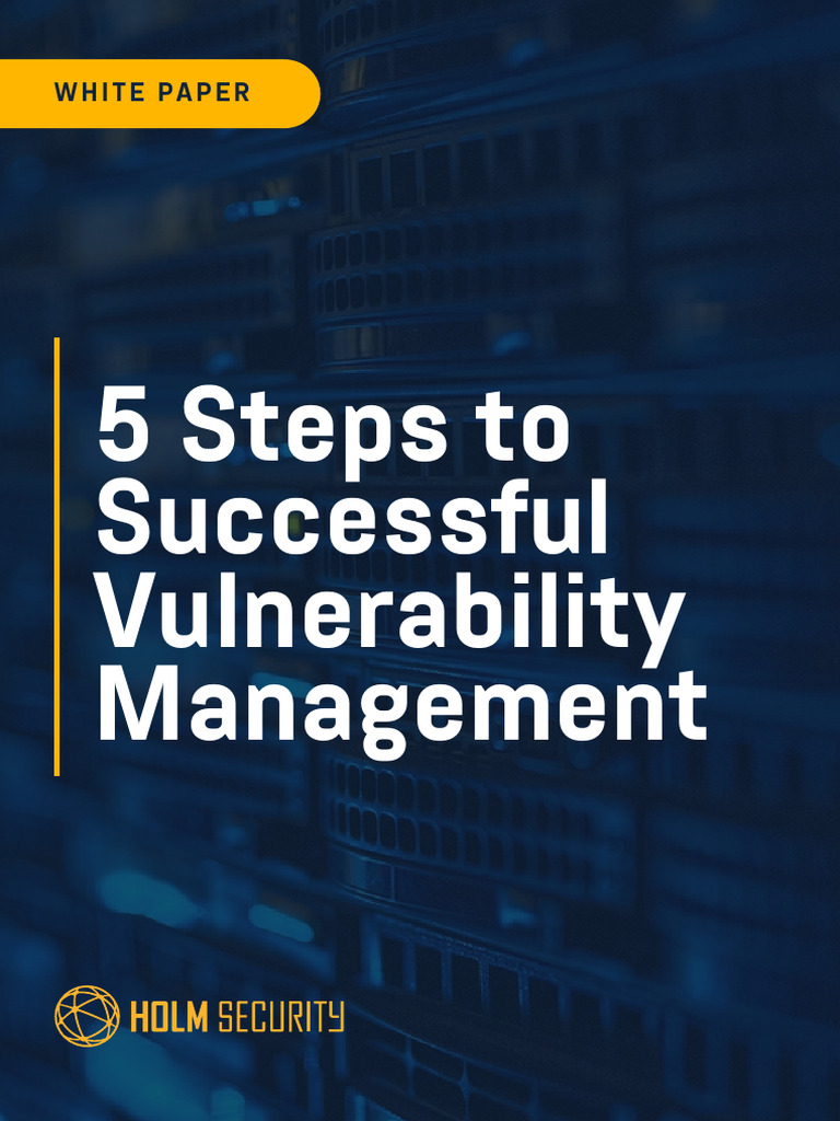 ENG - 5 Steps To Successful Vulnerability Management - Ver2.0 | PDF | Computer Security | Security