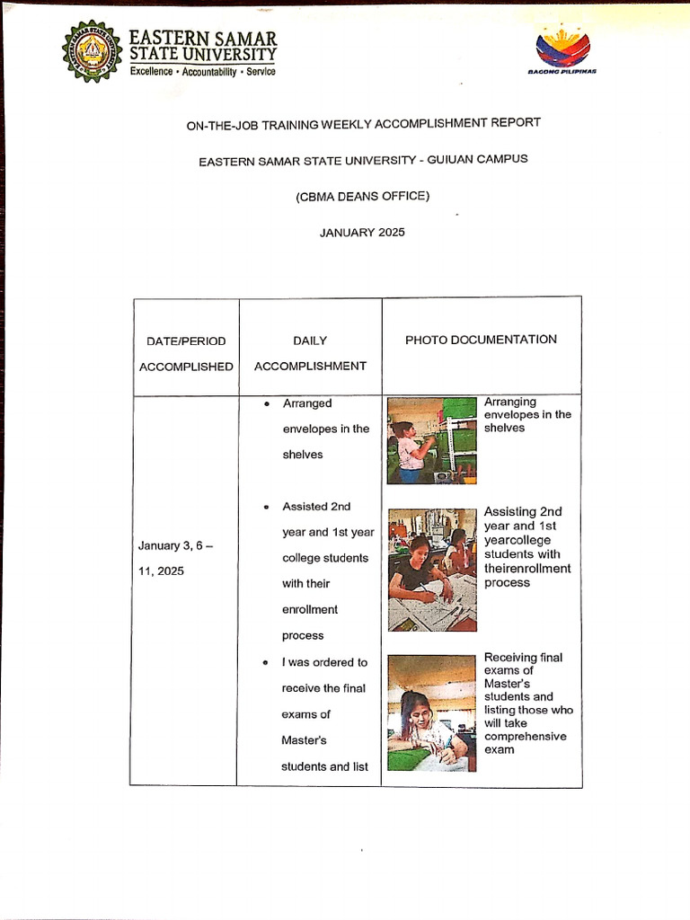 January Ojt Weekly Accomplishment Report | PDF