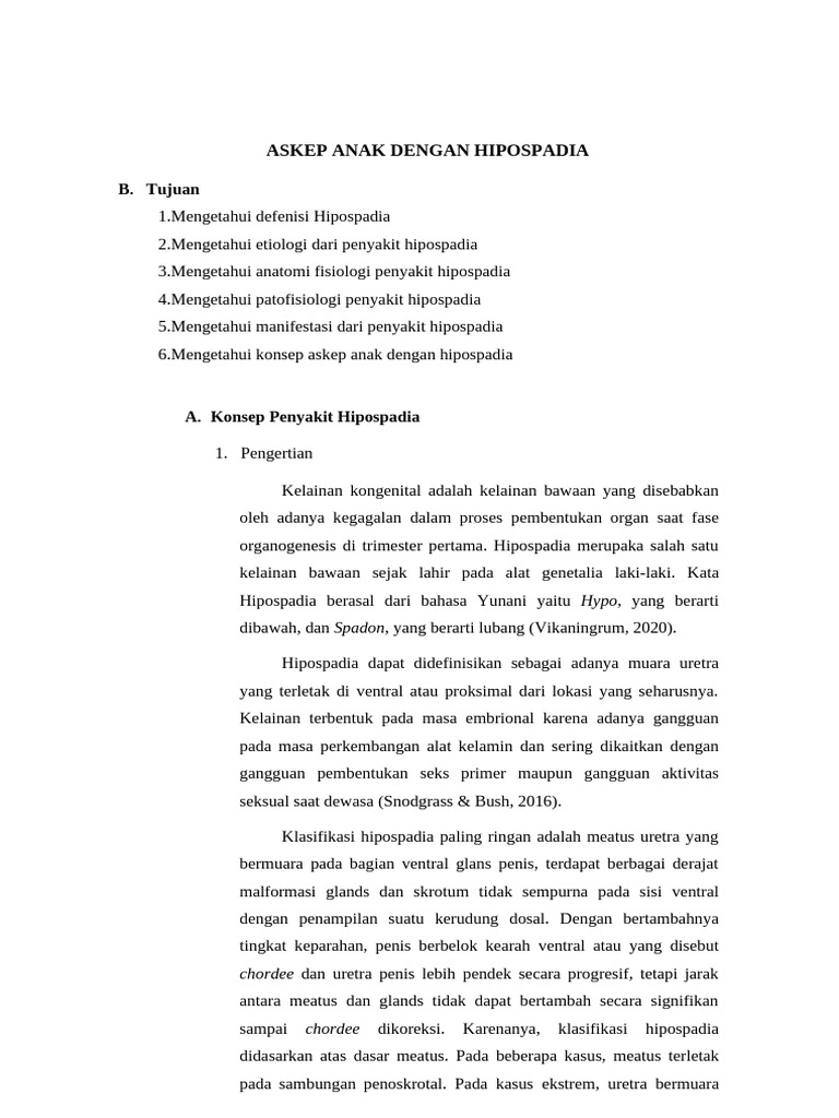 Askep Hipospadia Anak Sdki | PDF