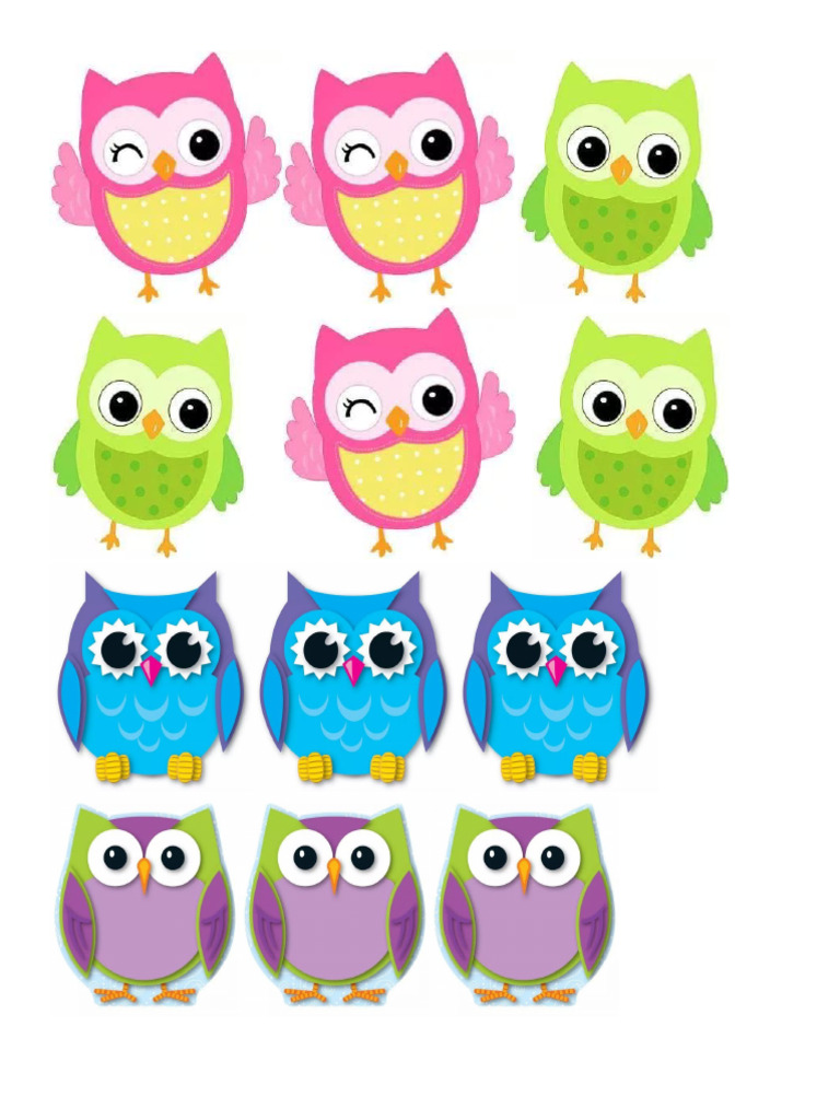 Border Owl | PDF