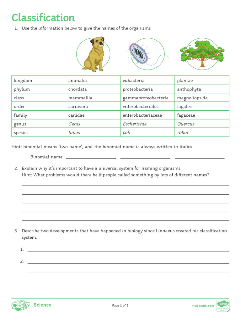 Inheritance V & E Lesson 15 Classification Worksheet Foundation | PDF ...
