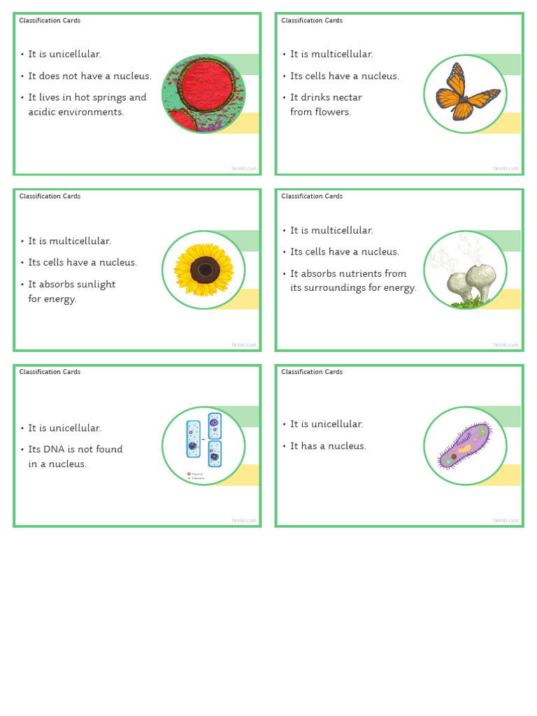 Inheritance V & E Lesson 15 Classification Cards | PDF